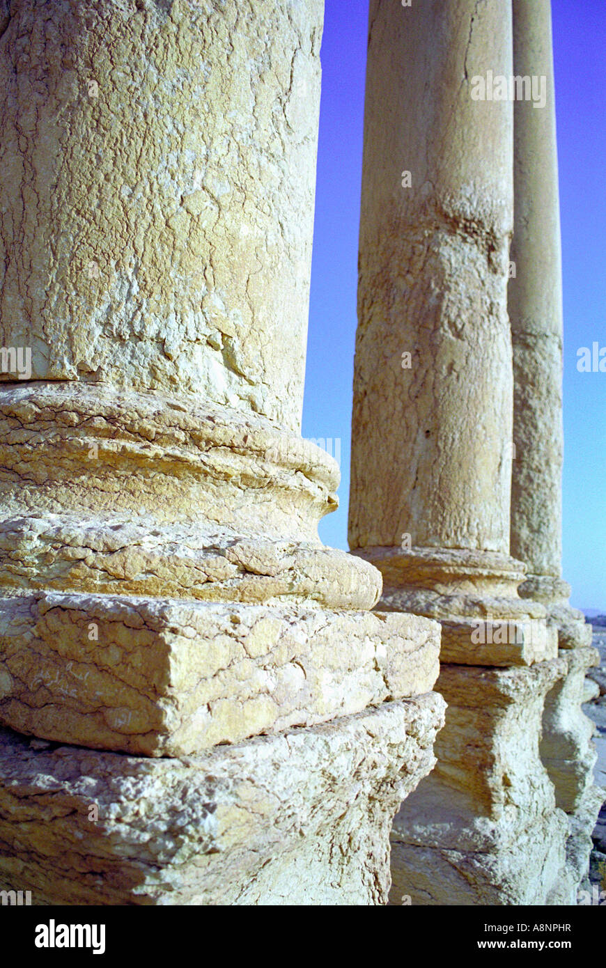 Roman columns - Palmyra, SYRIA Stock Photo - Alamy