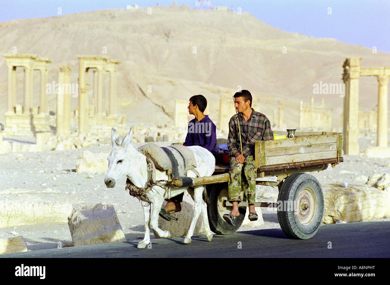 Syrian cart hi-res stock photography and images - Alamy