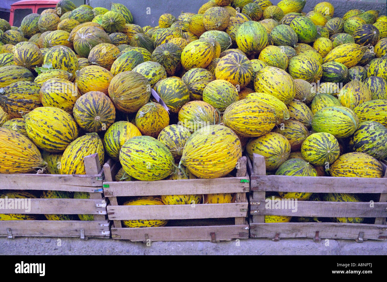 Melons - Selcuk, TURKEY Stock Photo - Alamy