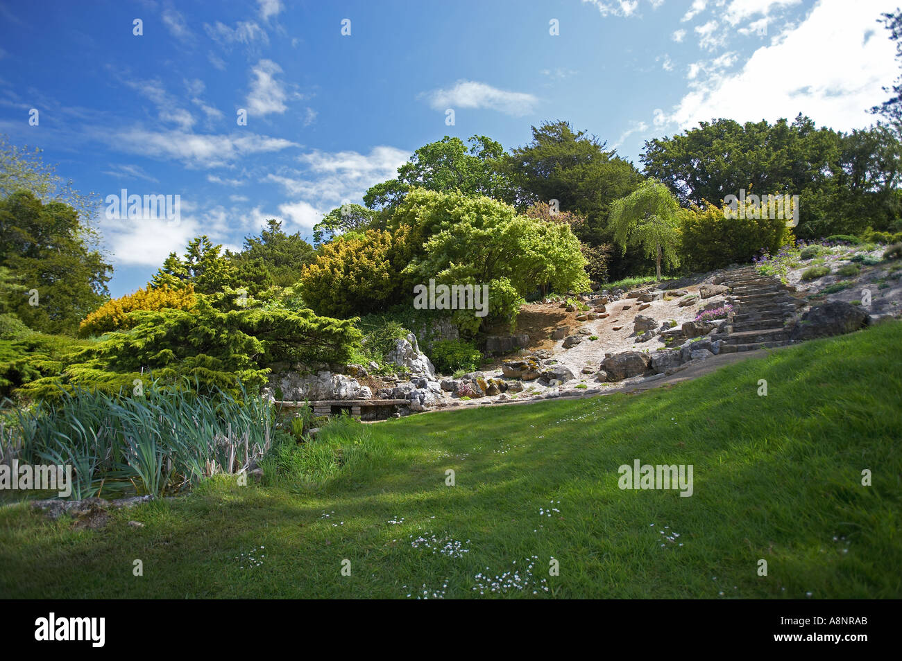 Duffryn Gardens High Resolution Stock Photography and Images - Alamy