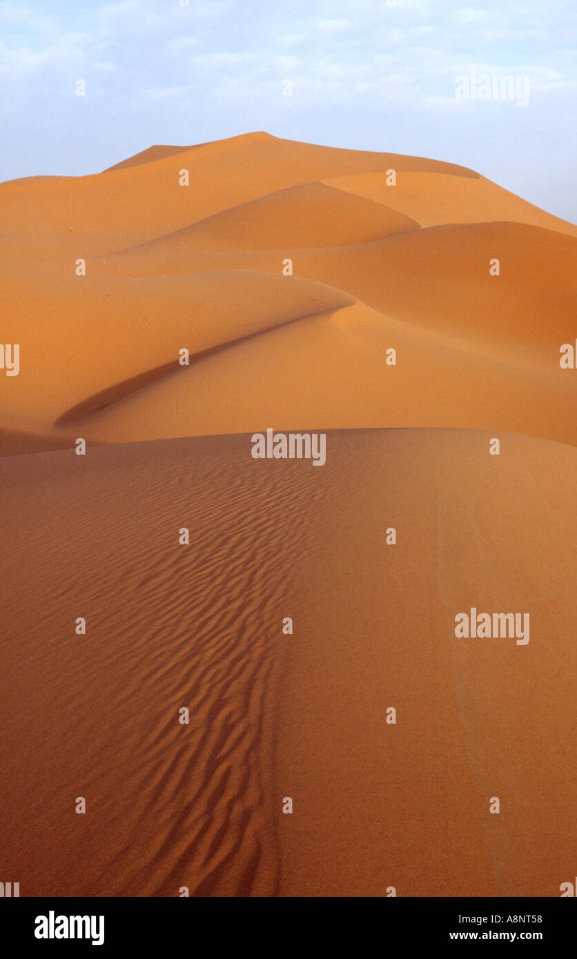 Hassi labied hi-res stock photography and images - Alamy