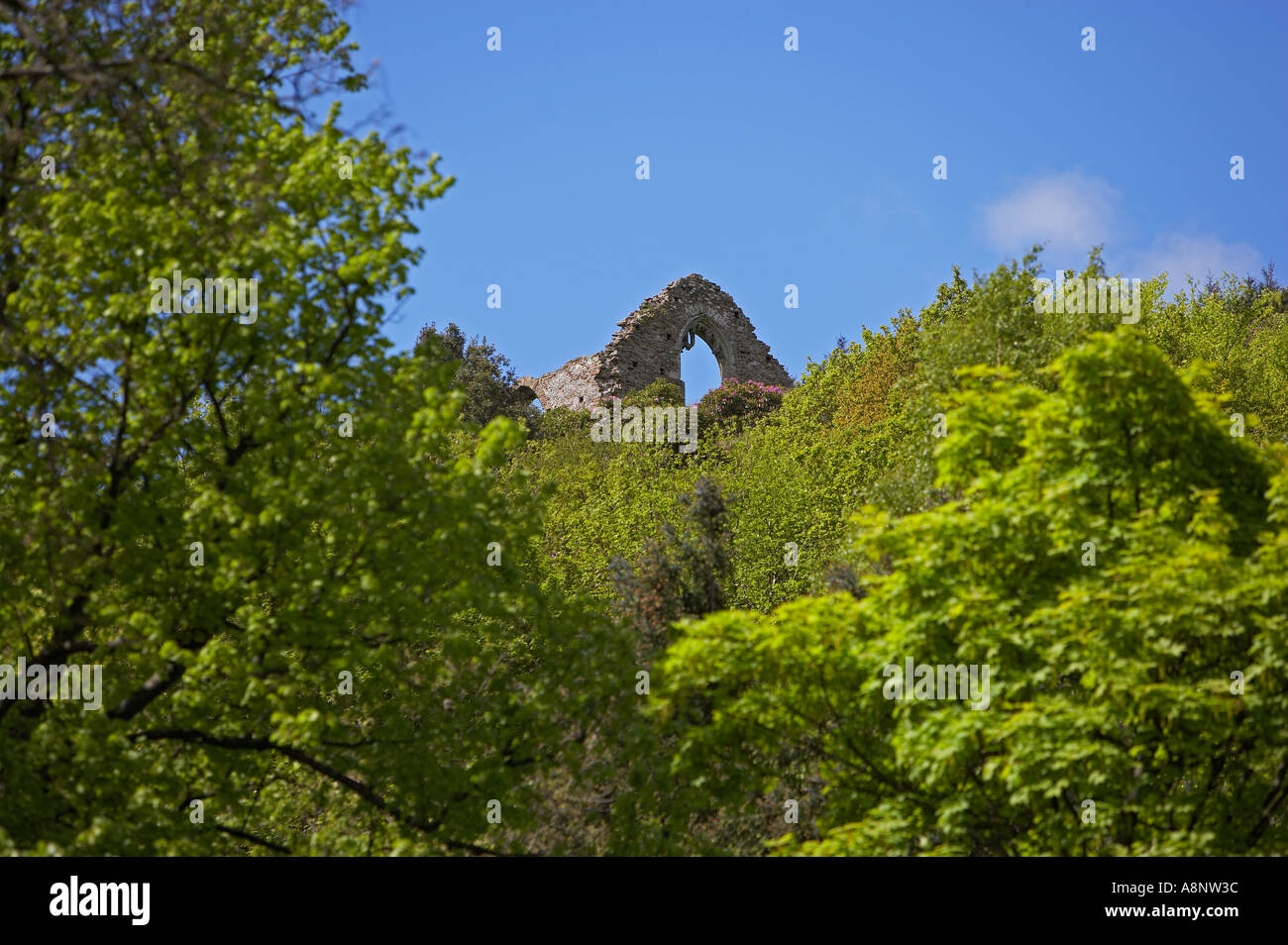 Margam mountain hi-res stock photography and images - Alamy