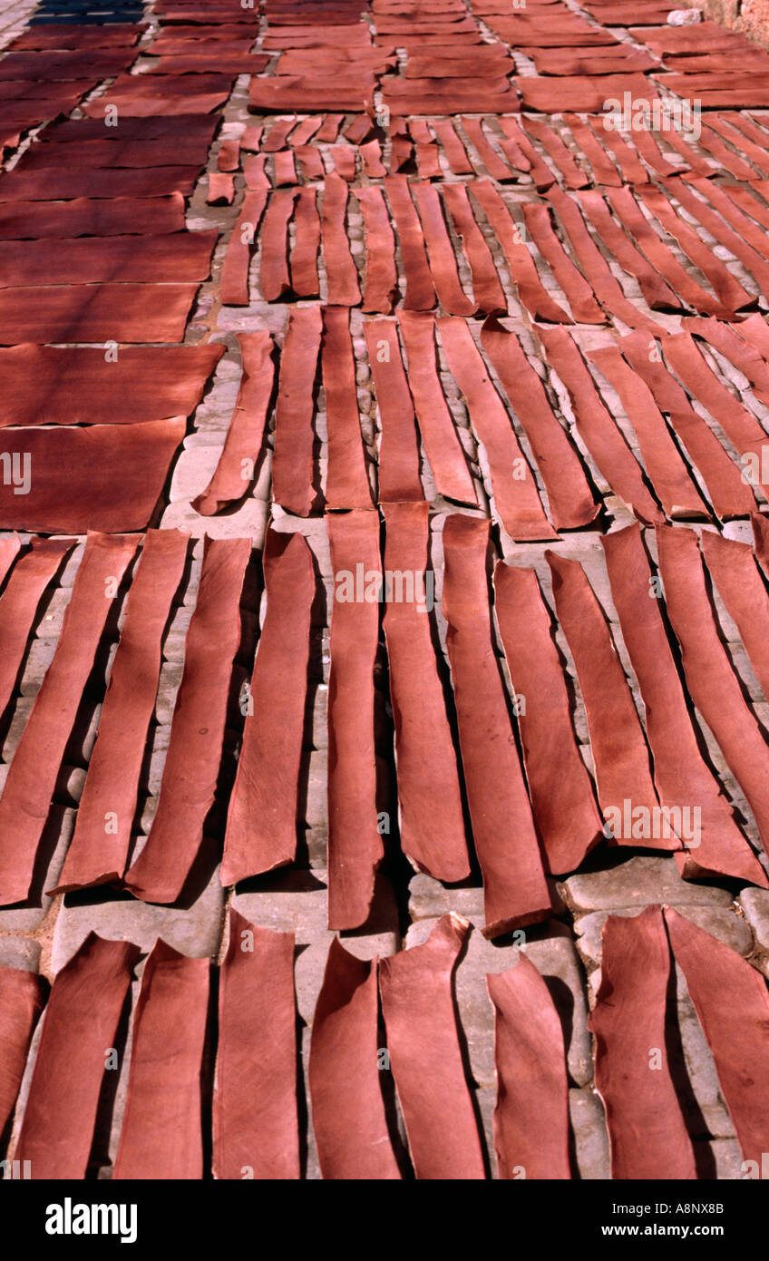 Leather production hi-res stock photography and images - Alamy