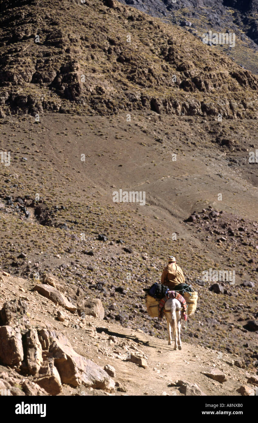 Mule driver hi-res stock photography and images - Alamy