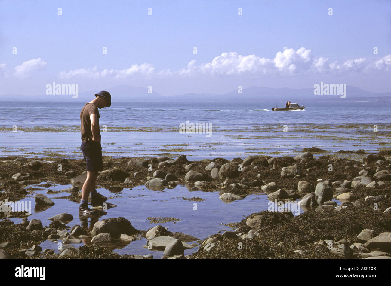 Shell island wales hi-res stock photography and images - Alamy