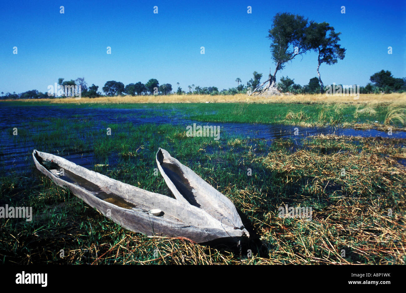 Mokoro canoe dugout Okavango Delta botswana Stock Photo - Alamy