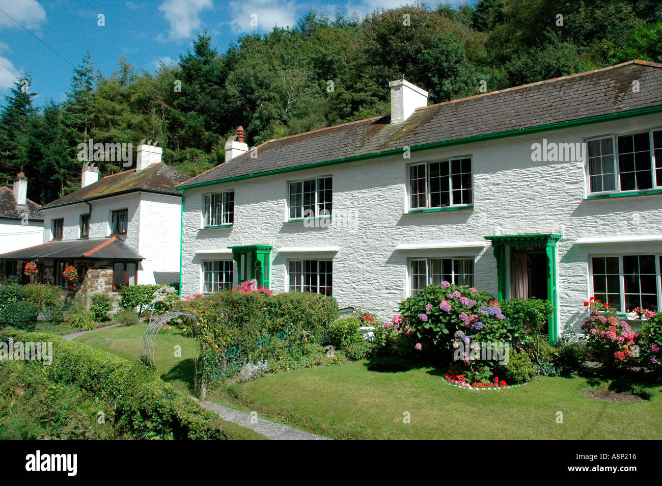 White cottages, Polperro, Cornwall, England Stock Photo - Alamy
