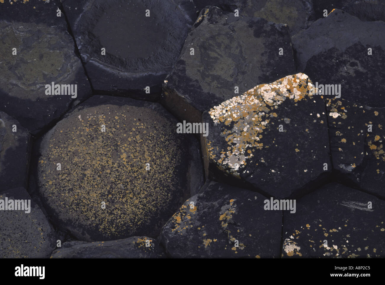 NORTHERN IRELAND County Antrim Giants Causeway The hexagonal basalt ...