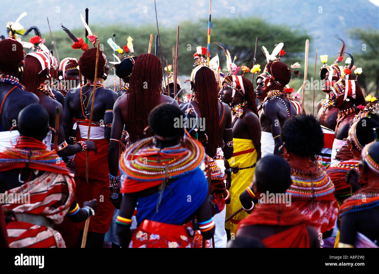 samburu wedding dance, kenya Stock Photo - Alamy