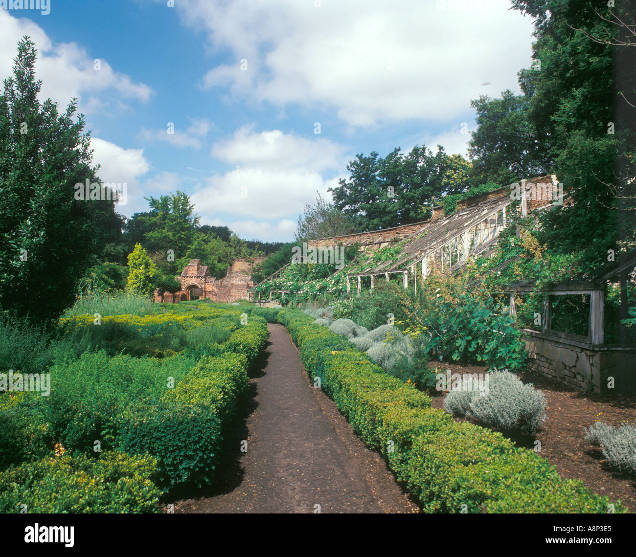 Path leading through old traditional garden on summers day with blue ...