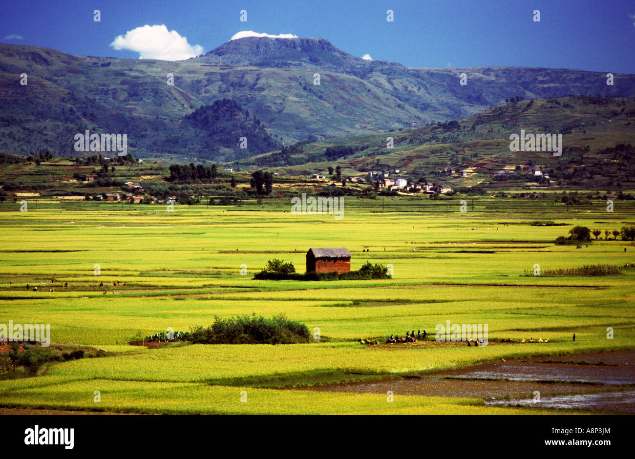 Madagascar antananarivo landscape rural hi-res stock photography and ...