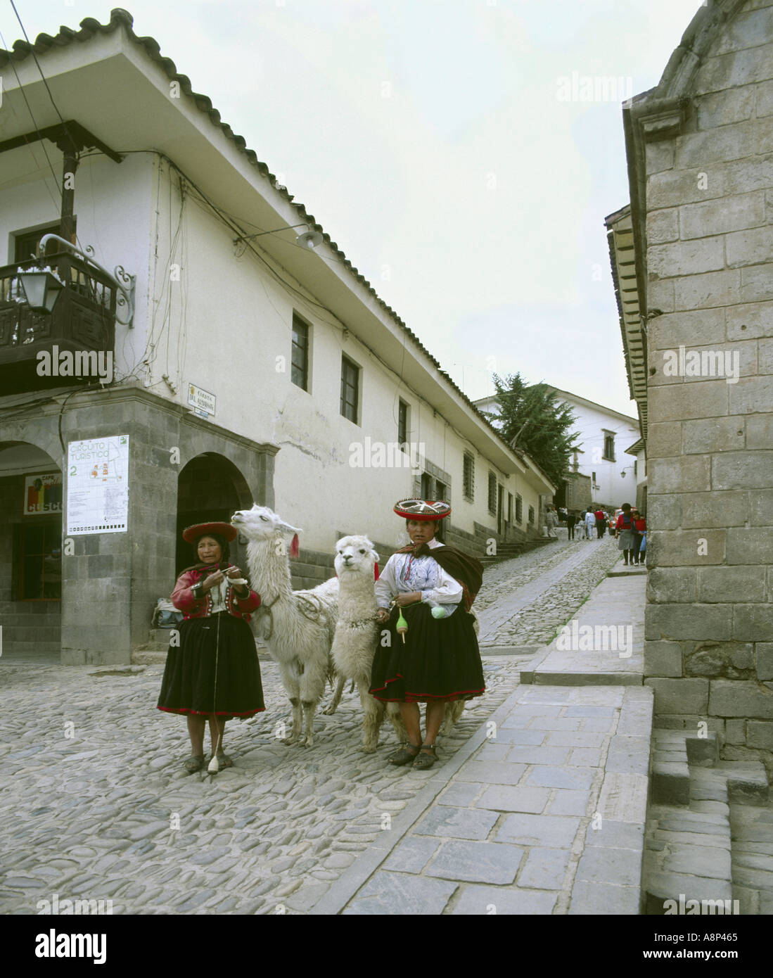 Cuzco Peru women in typical inca dress and spinning with groomed Llamas ...