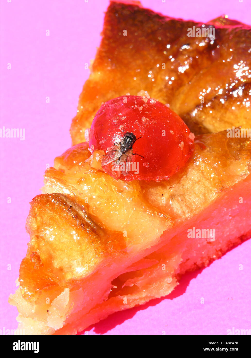 Fruit snack bugs hi-res stock photography and images - Alamy