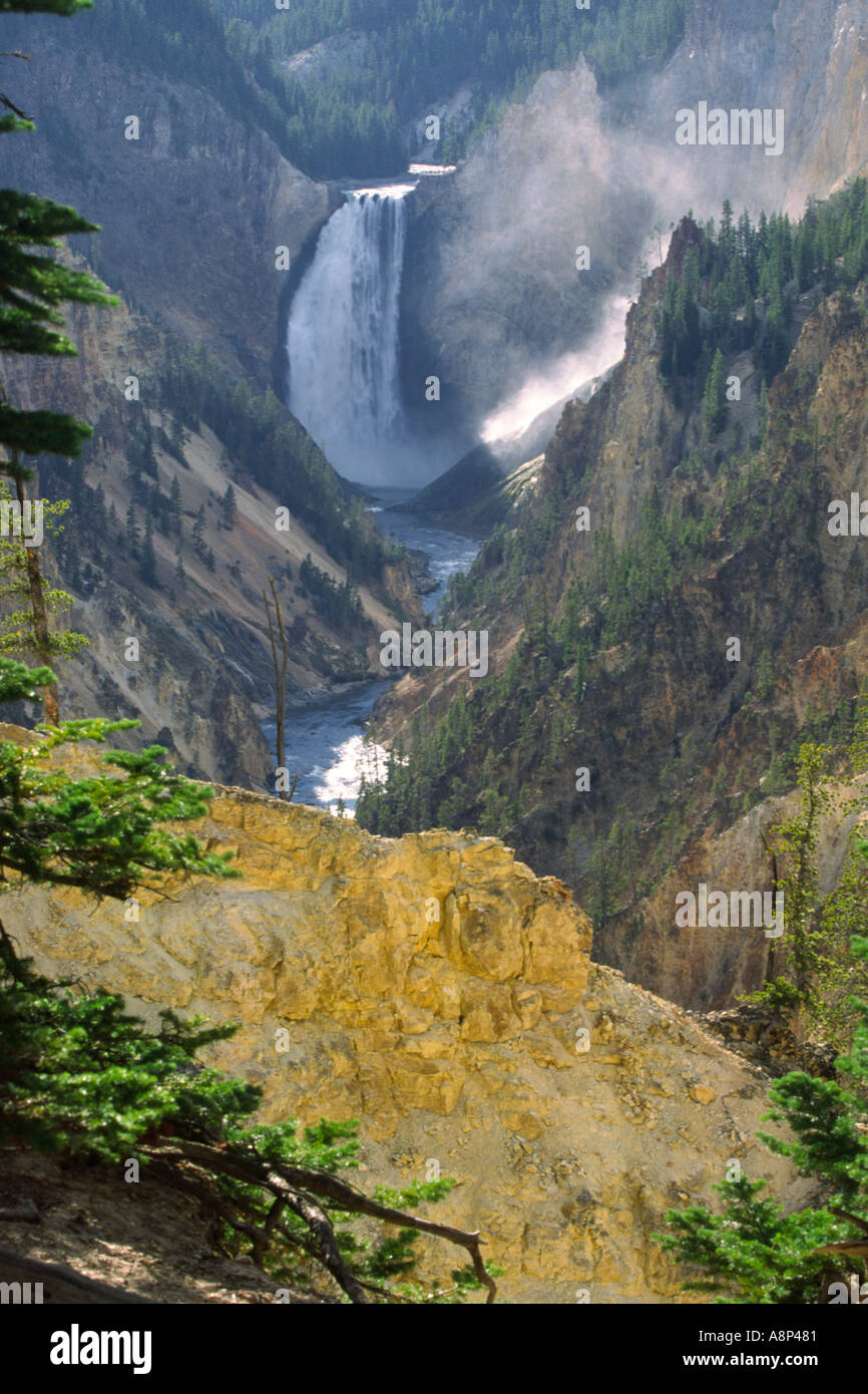 Yellowstone Falls viewed from Artists Point Stock Photo - Alamy