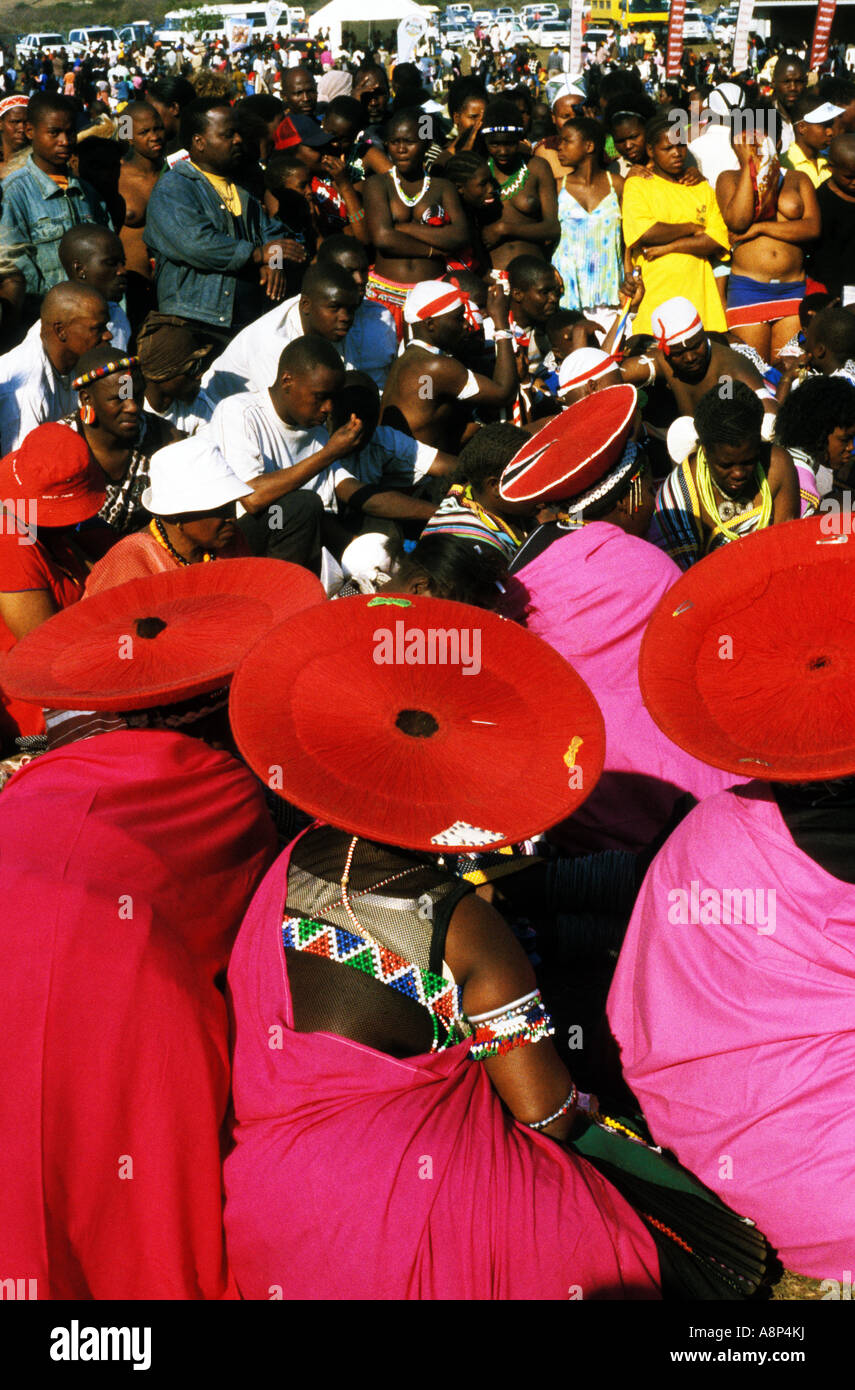 Zulu reed dance hi-res stock photography and images - Alamy