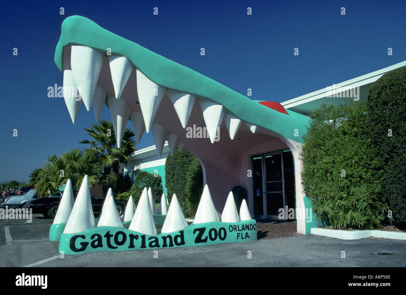 Gatorland Orlando FL Stock Photo - Alamy