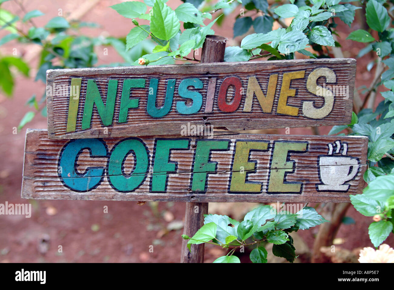 infusiones coffee Stock Photo - Alamy