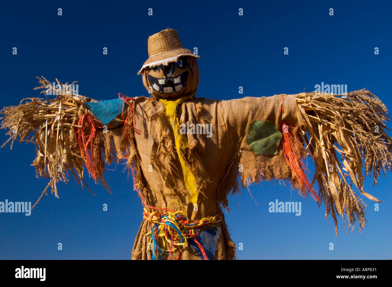 Deter scare hi-res stock photography and images - Alamy