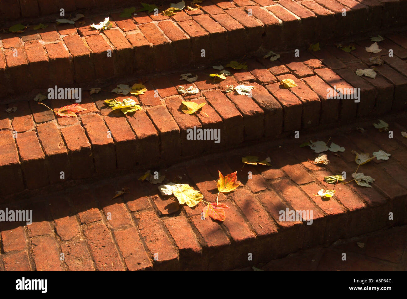 autumn leaves on steps Stock Photo - Alamy