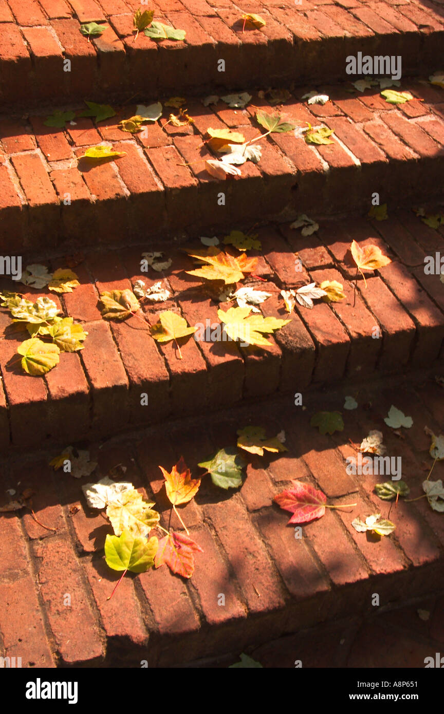 autumn leaves on steps Stock Photo - Alamy