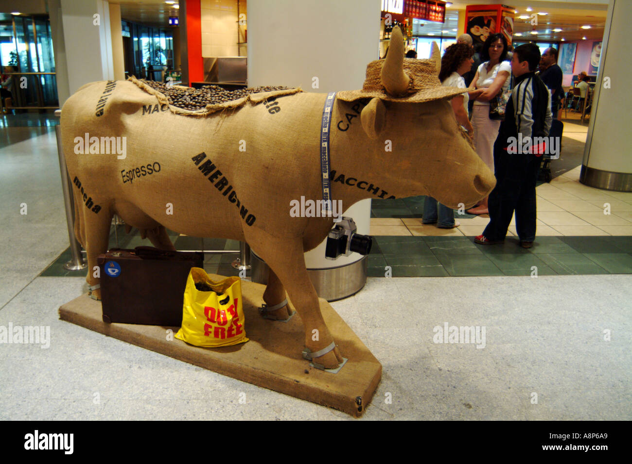 manchester airport interior cow Stock Photo - Alamy