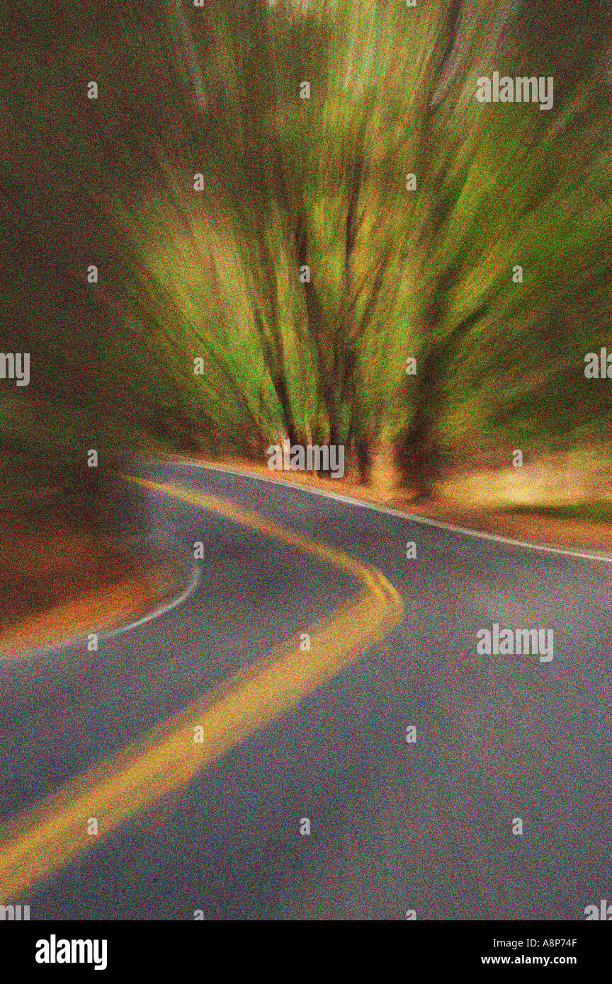 divided country road in motion Stock Photo - Alamy