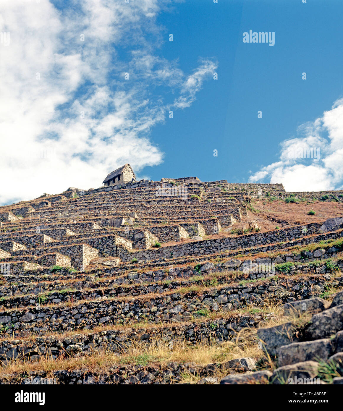 Agricultural terraces peru pre inca hi-res stock photography and images ...