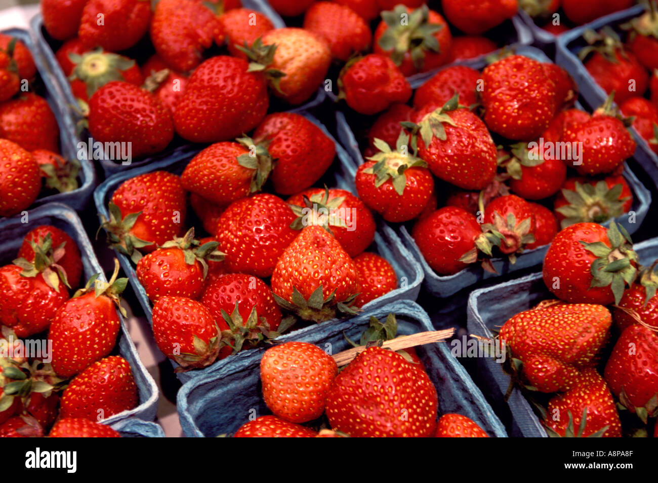 Pint boxes hi-res stock photography and images - Alamy