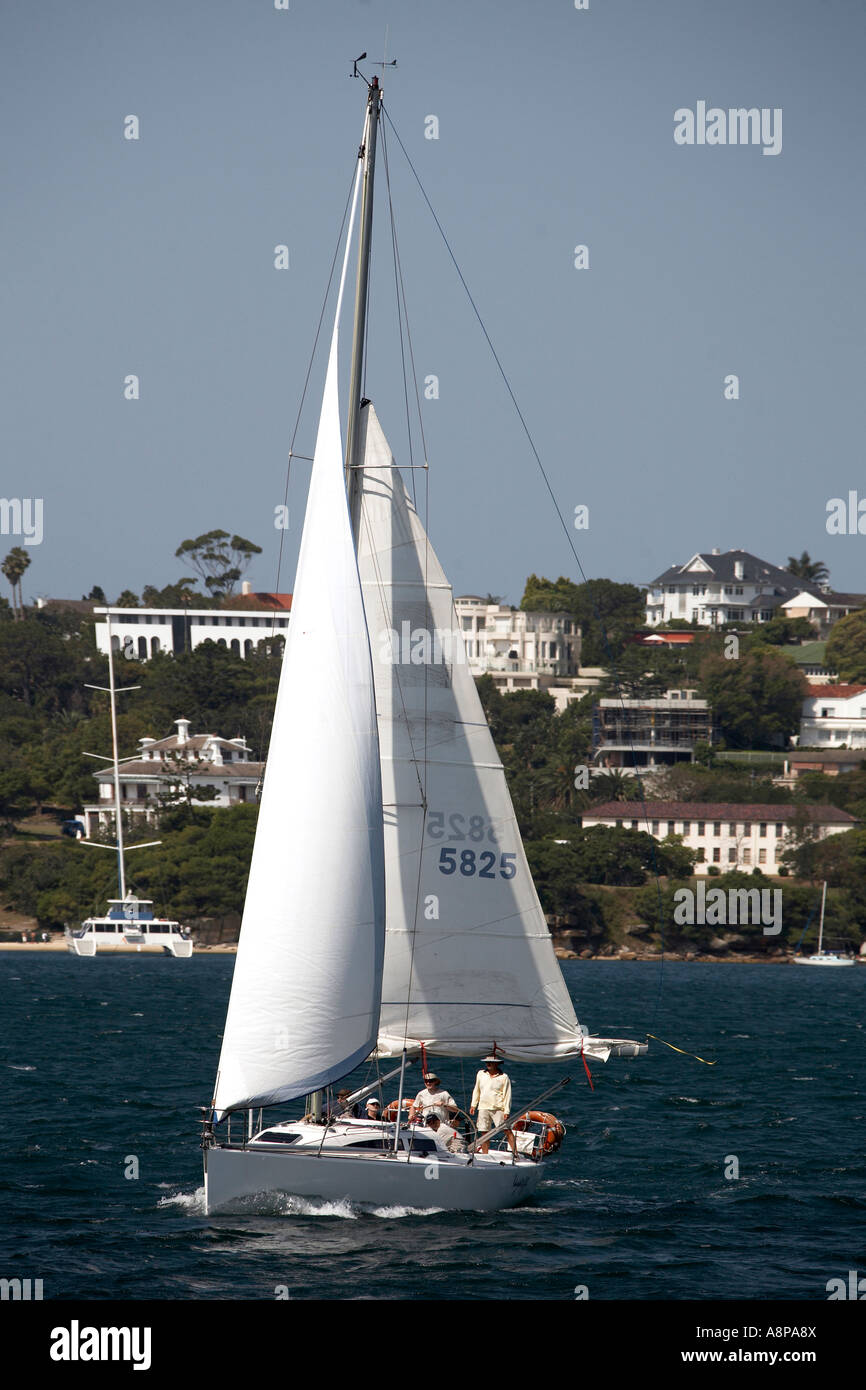 Sailing yacht boat in Rose Bay on Sydney Harbour with houses of ...