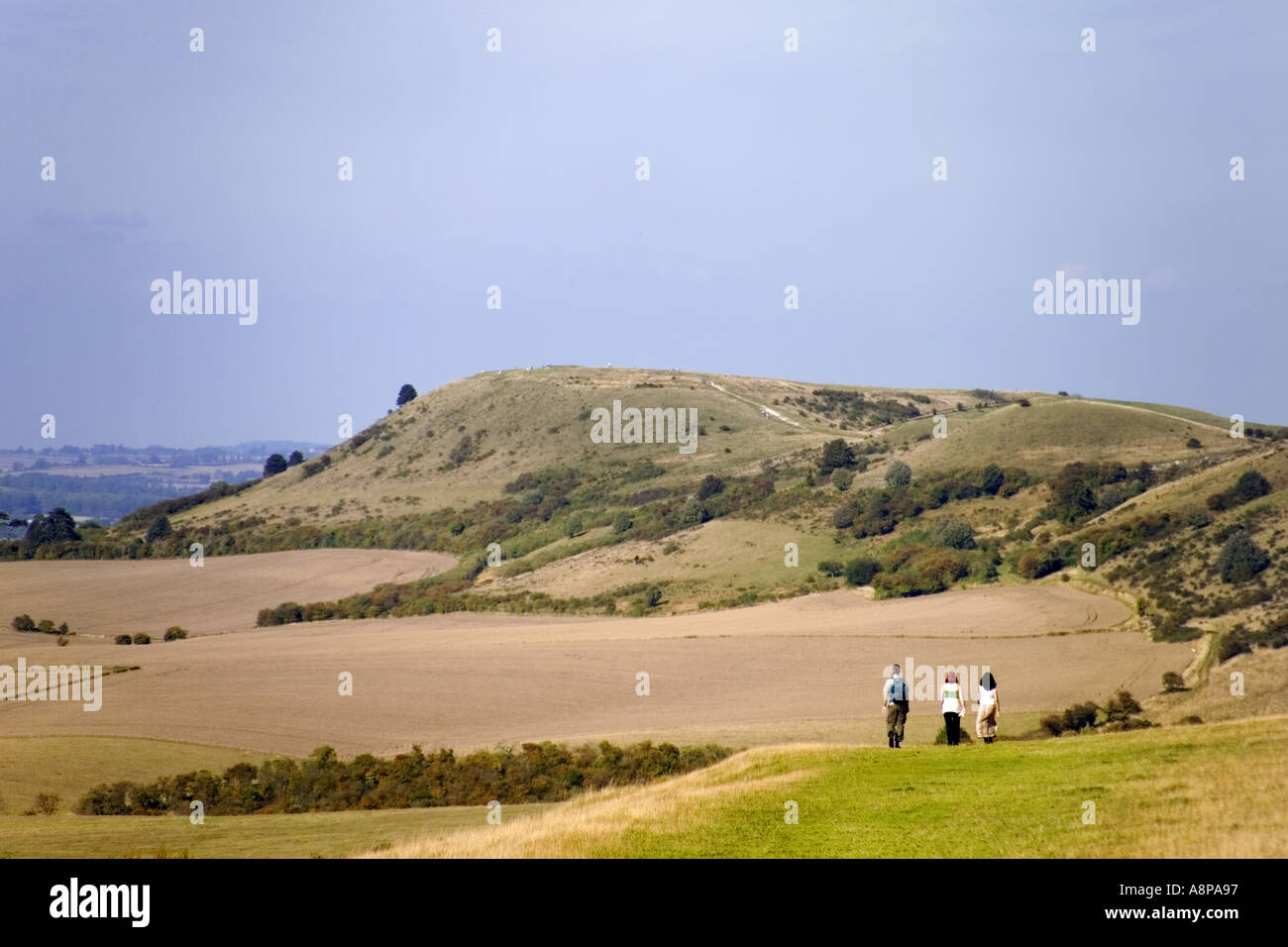 england home counties the chilterns buckinghamshire views from the ...