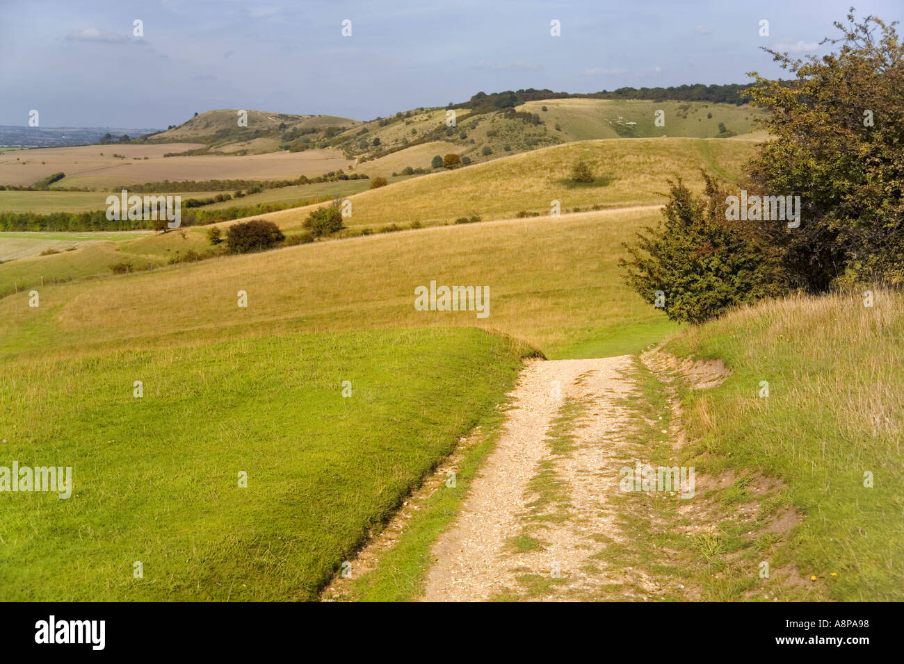 england home counties the chilterns buckinghamshire views from the ...