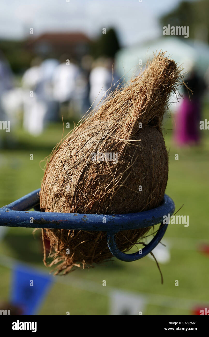 Knock off nut hi-res stock photography and images - Alamy