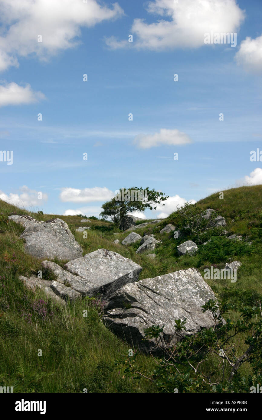 Bluestack mountains hi-res stock photography and images - Alamy