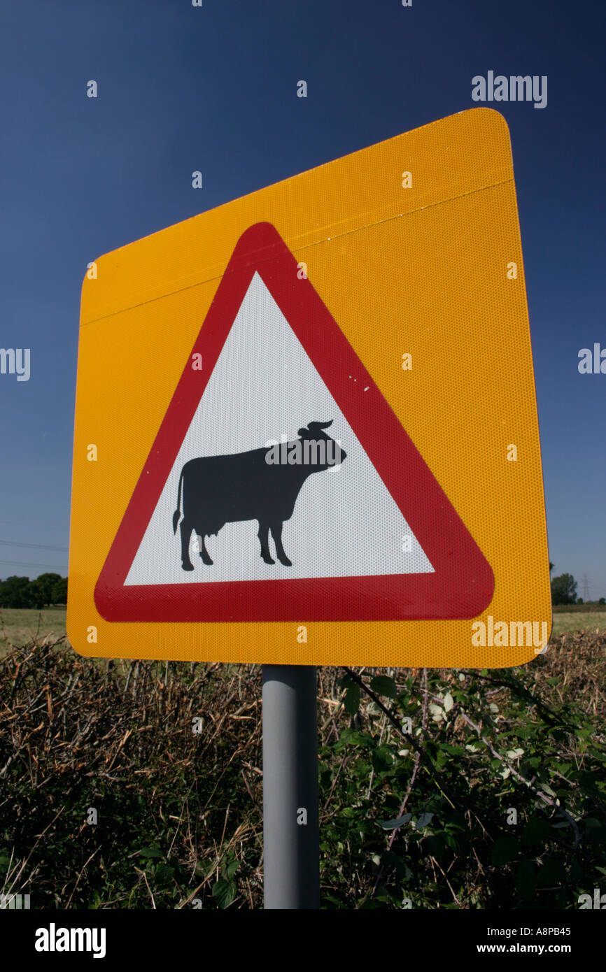 UK Road Warning Sign Stock Photo Alamy uk-road-warning-sign-stock-photo-alamy