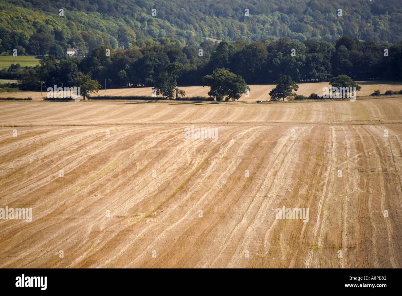 england home counties the chilterns buckinghamshire views from the ...