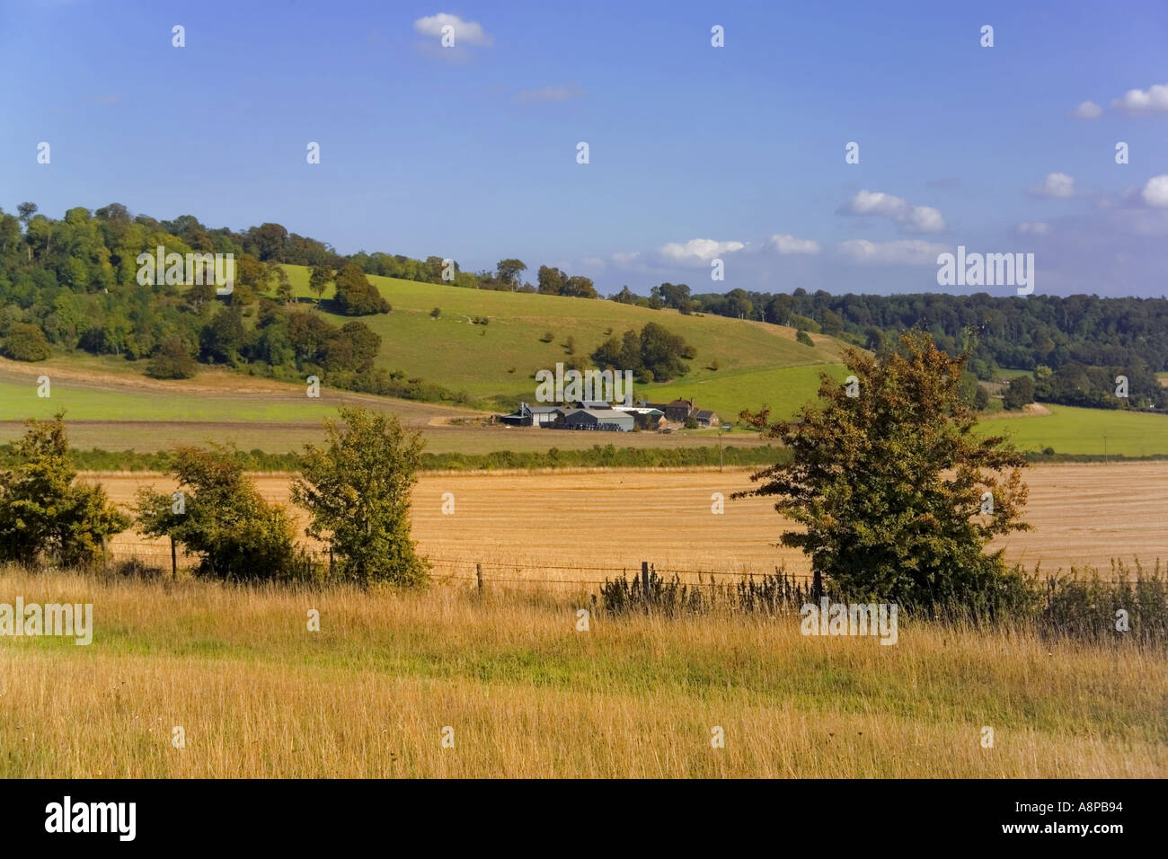 england home counties the chilterns buckinghamshire views from the ...