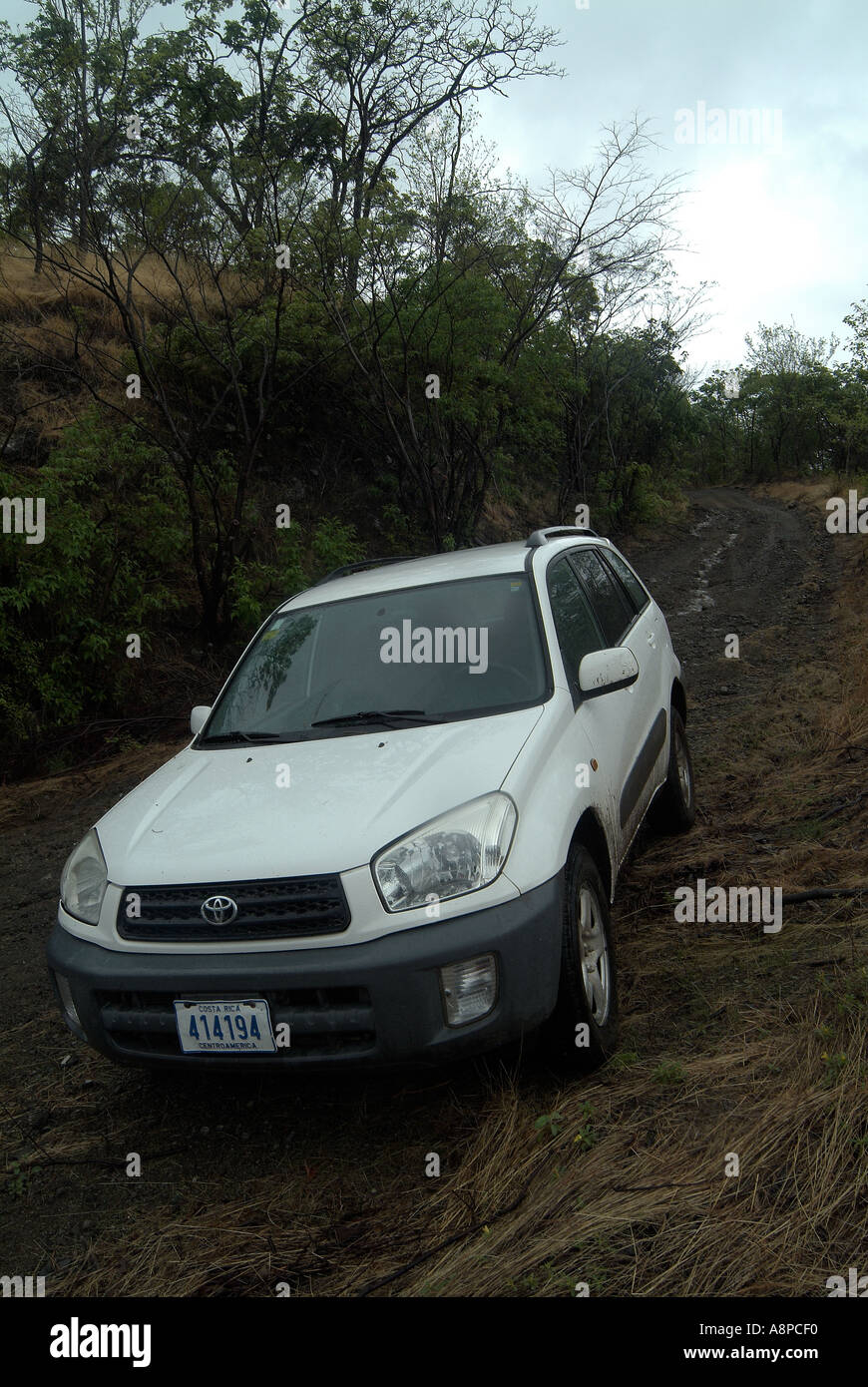 White car parked in the rain forest, Costa Rica Stock Photo - Alamy