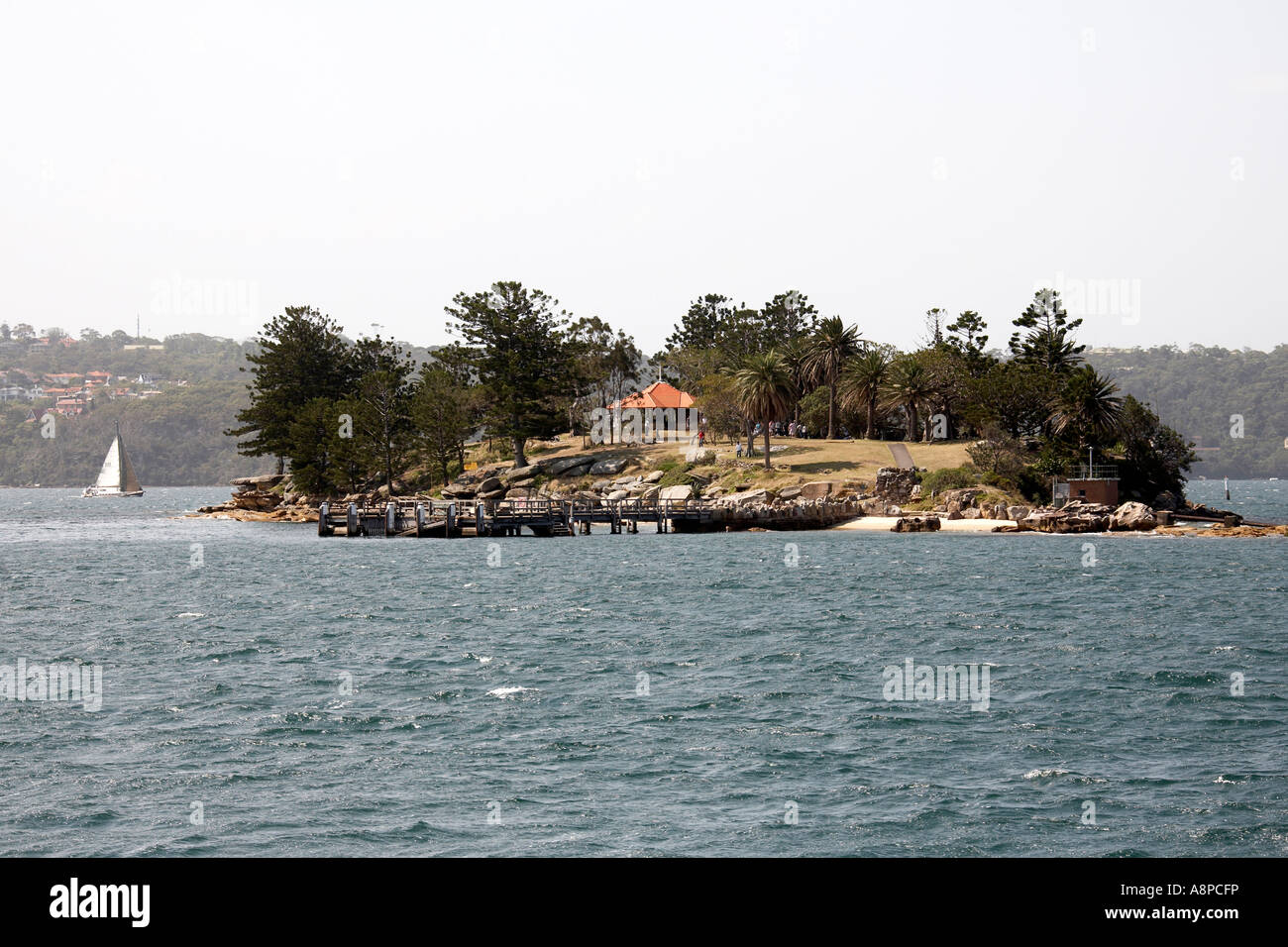 Shark island sydney hi-res stock photography and images - Alamy