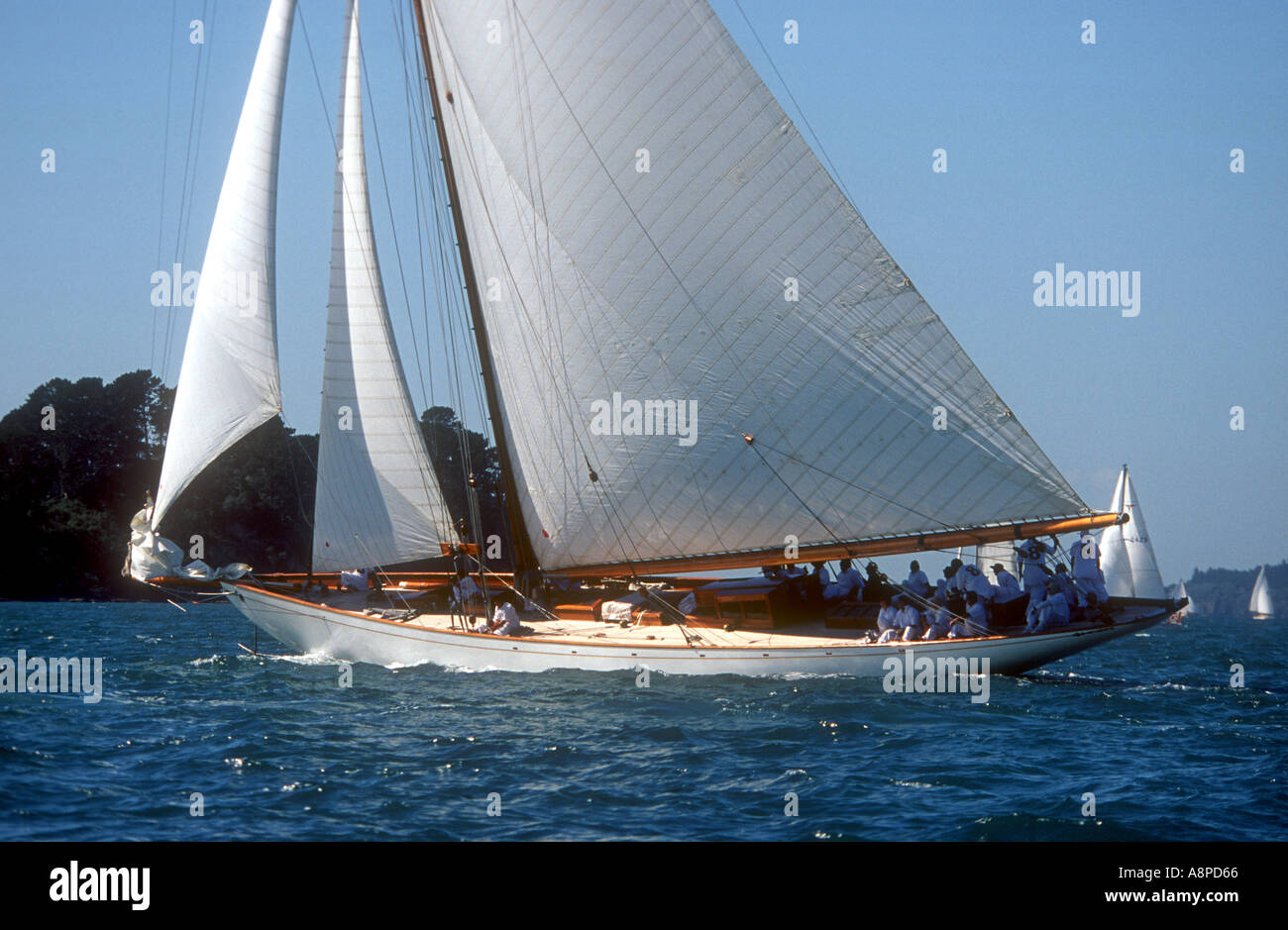 Moonbeam IV in the first race of the International classic yacht ...
