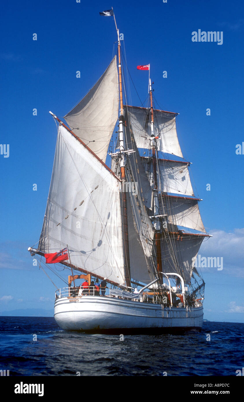 Square rigger Soren Larson Hauraki Gulf Auckland New Zealand Stock ...