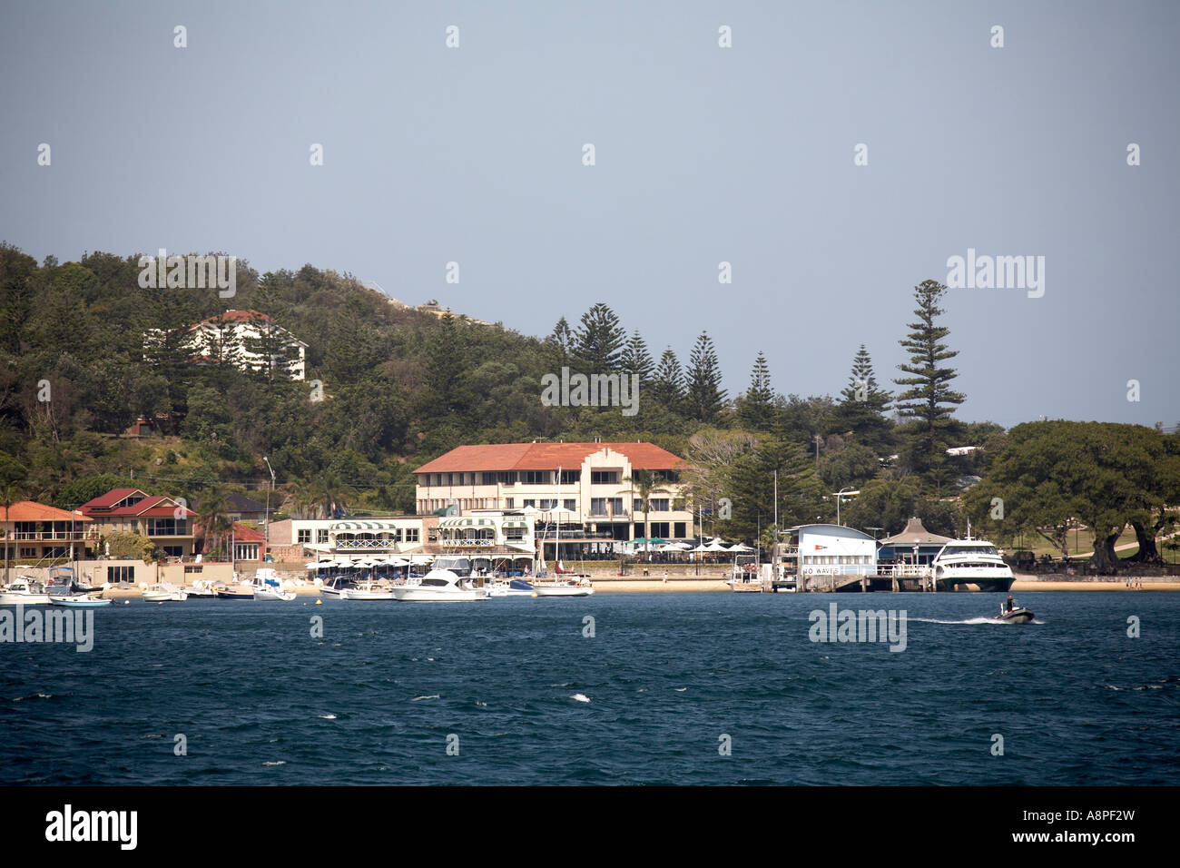 Watsons Bay and beach with pier and boats from across the harbour water ...