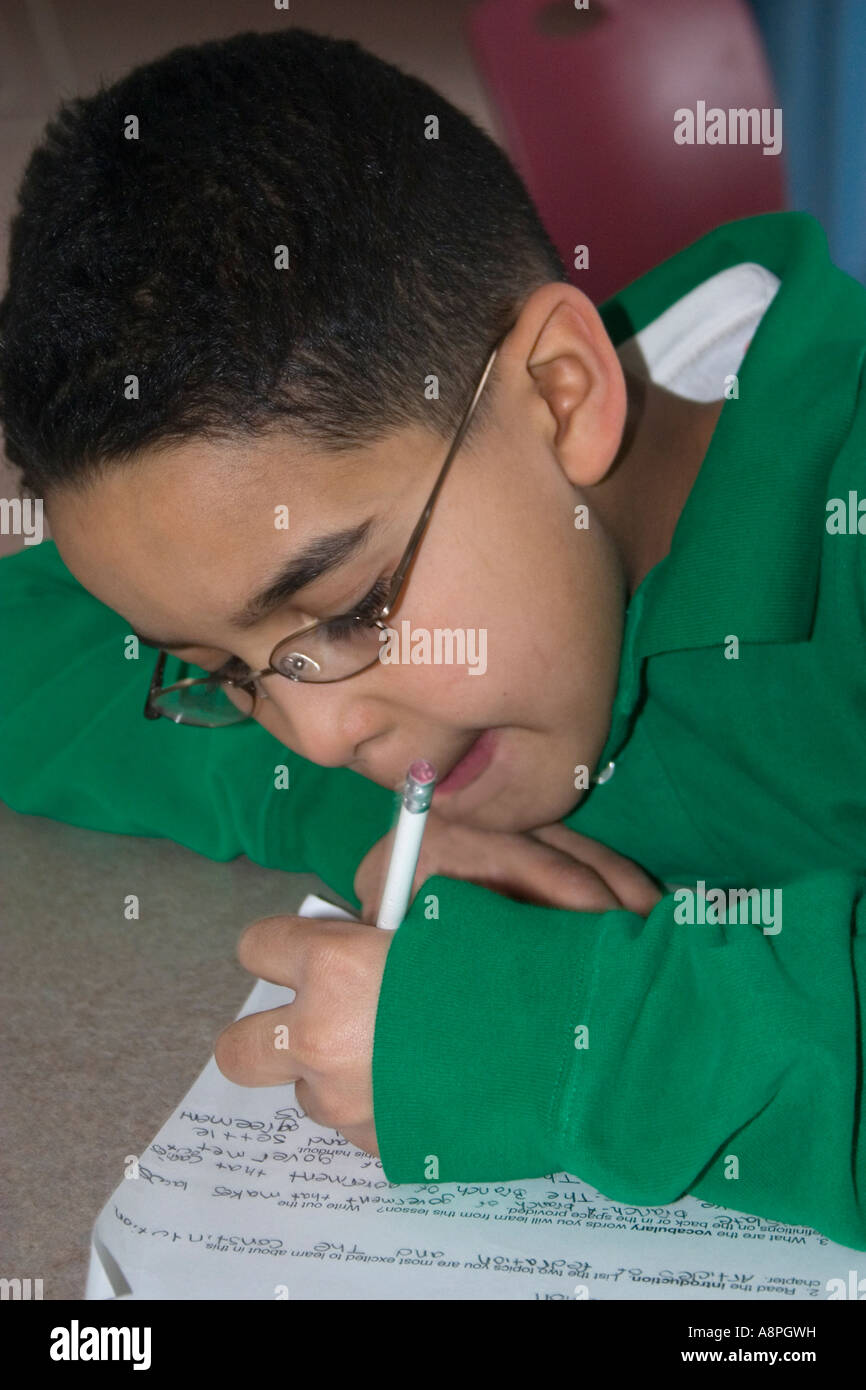 Student working on homework after school. After School Study Program ...