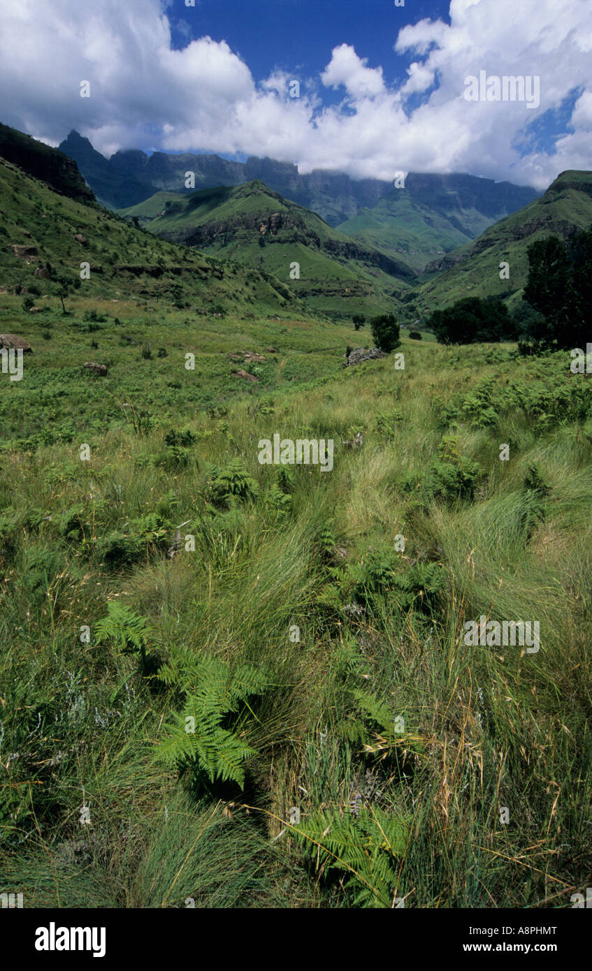 KwaZulu-Natal, South Africa, beautiful landscape, Cathedral Peak nature ...