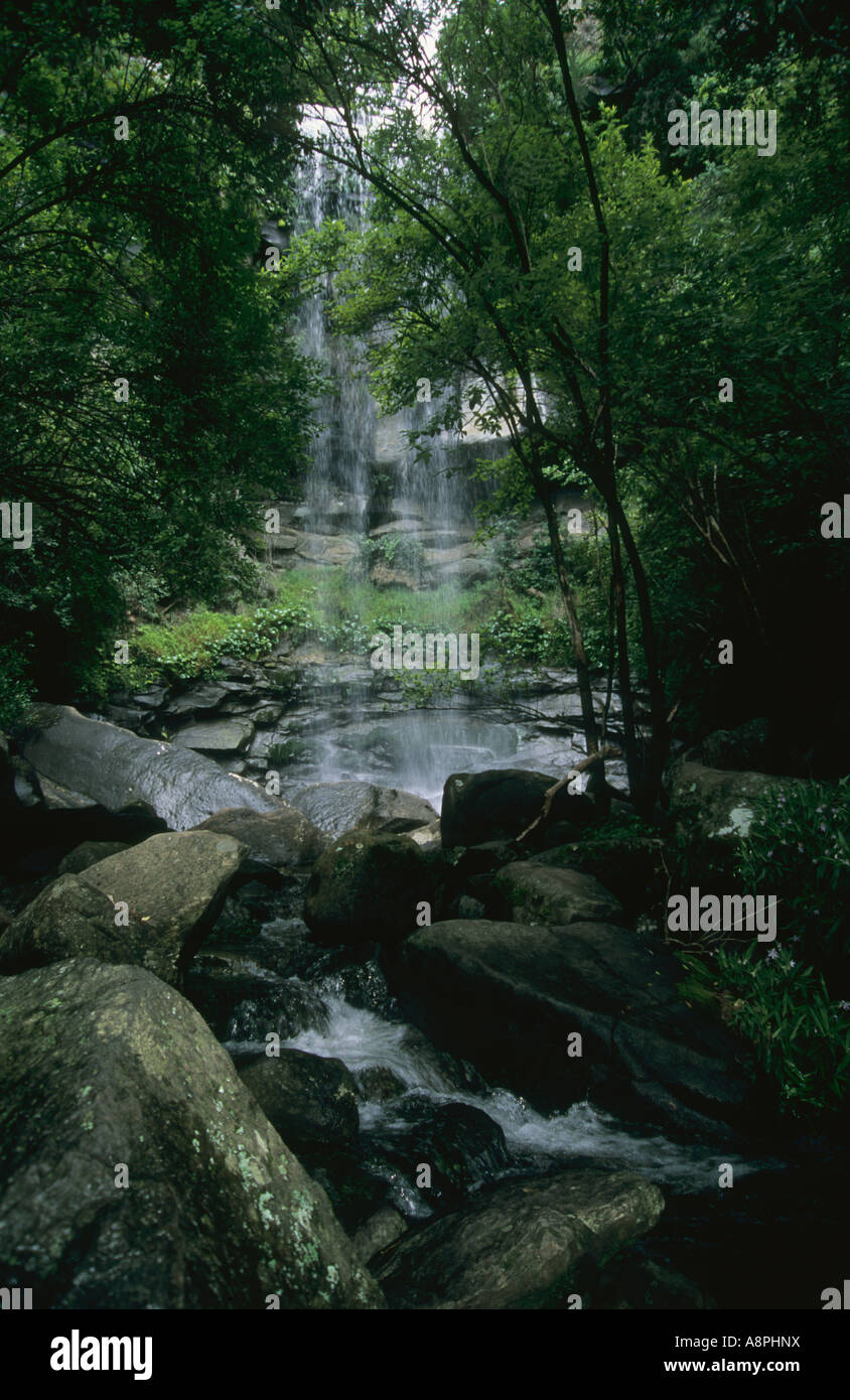 KwaZulu-Natal, South Africa, landscape, Nandi Falls, Monks Cowl nature ...