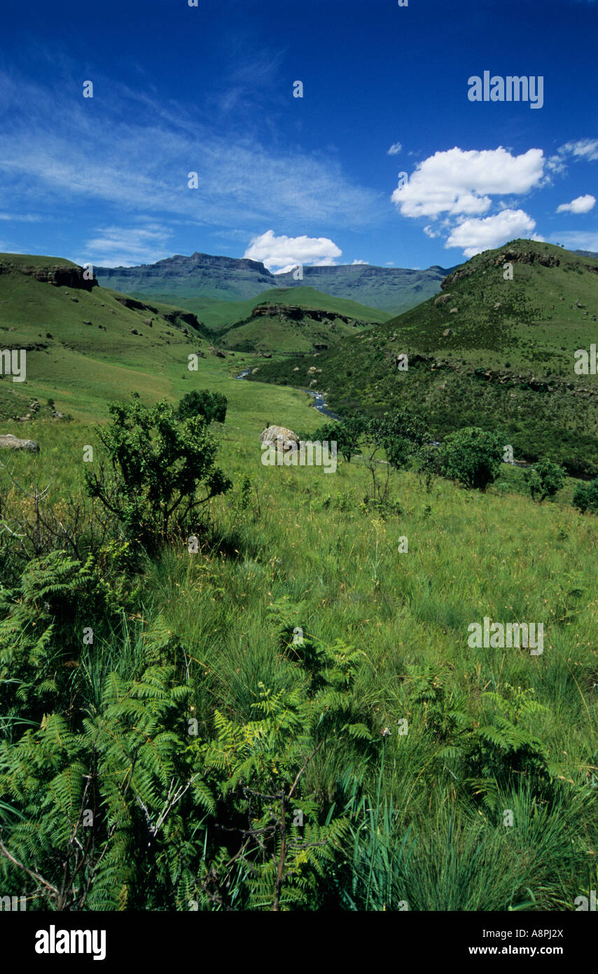 South africa amazing view blue sky hi-res stock photography and images ...