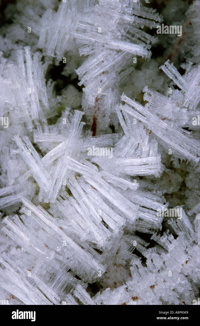 Ice crystals on grass hi-res stock photography and images - Alamy