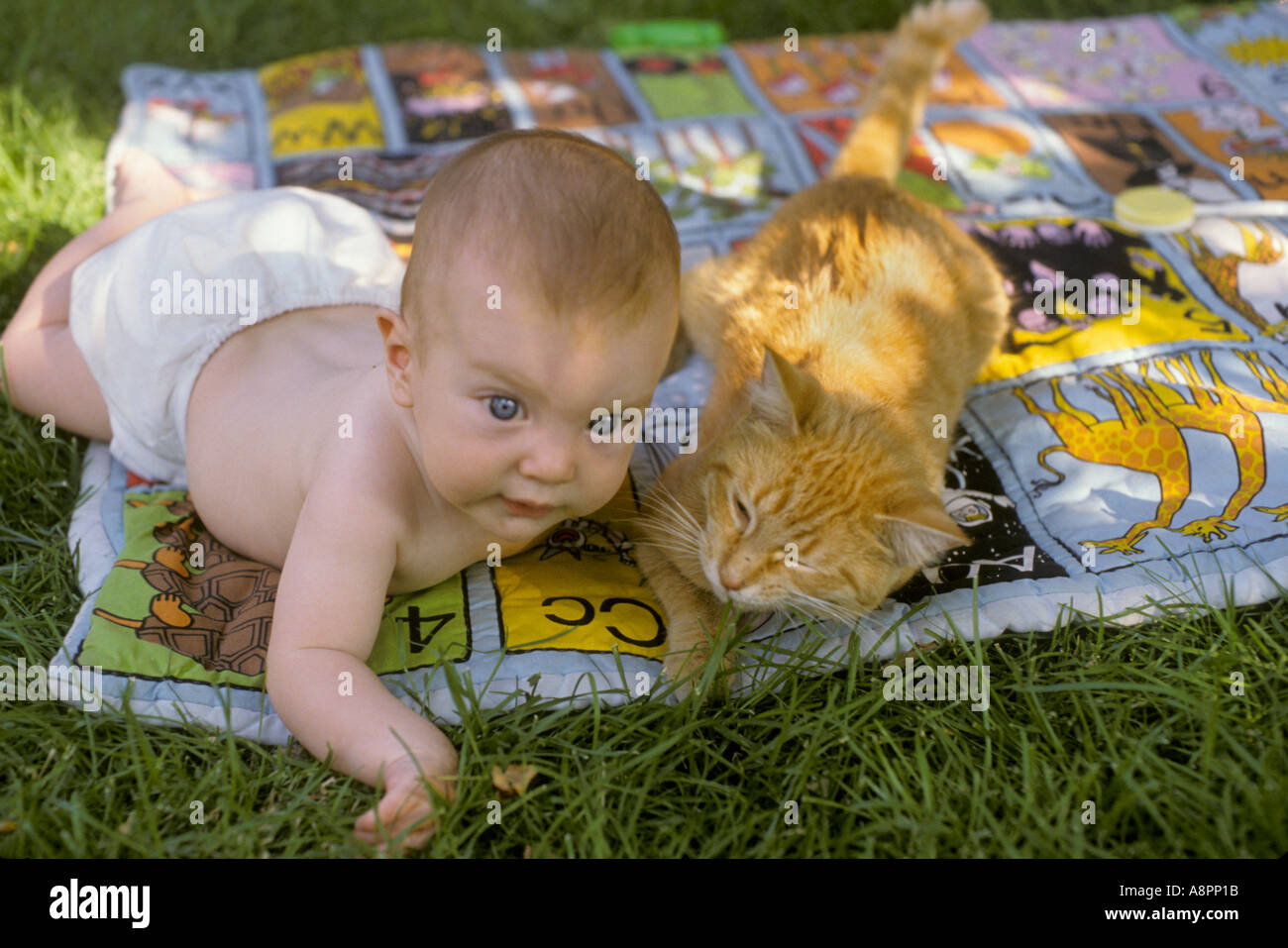 Baby with Cat Stock Photo - Alamy