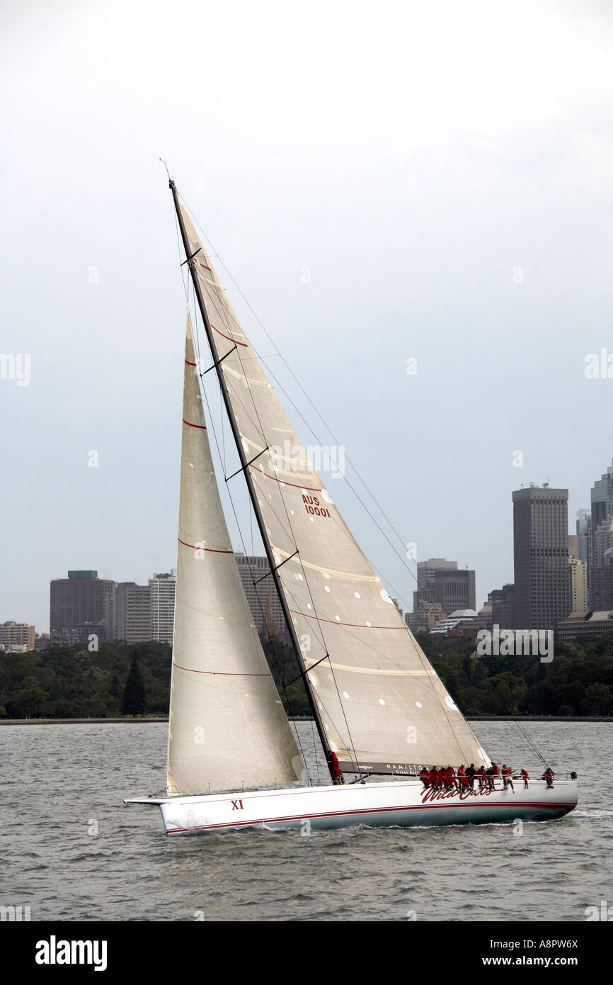 Hamilton Island Wild Oats sailing yacht heeled over with crew on ...