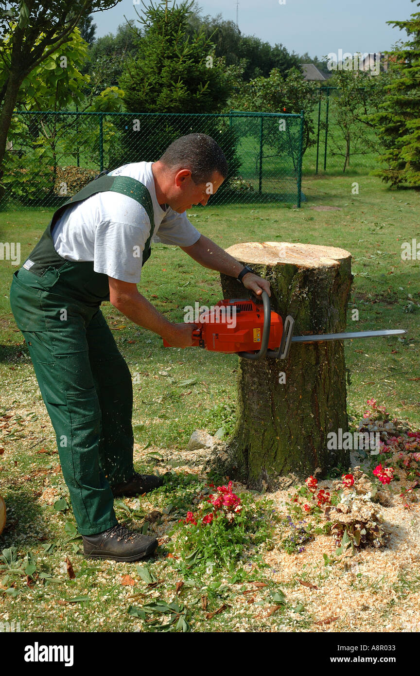 Woodsaw hi-res stock photography and images - Alamy