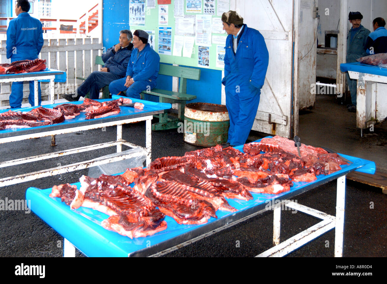 Inuit greenland meat hi-res stock photography and images - Alamy